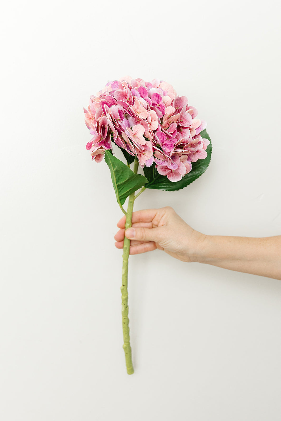Stems & Florals – Sarah Grover Home