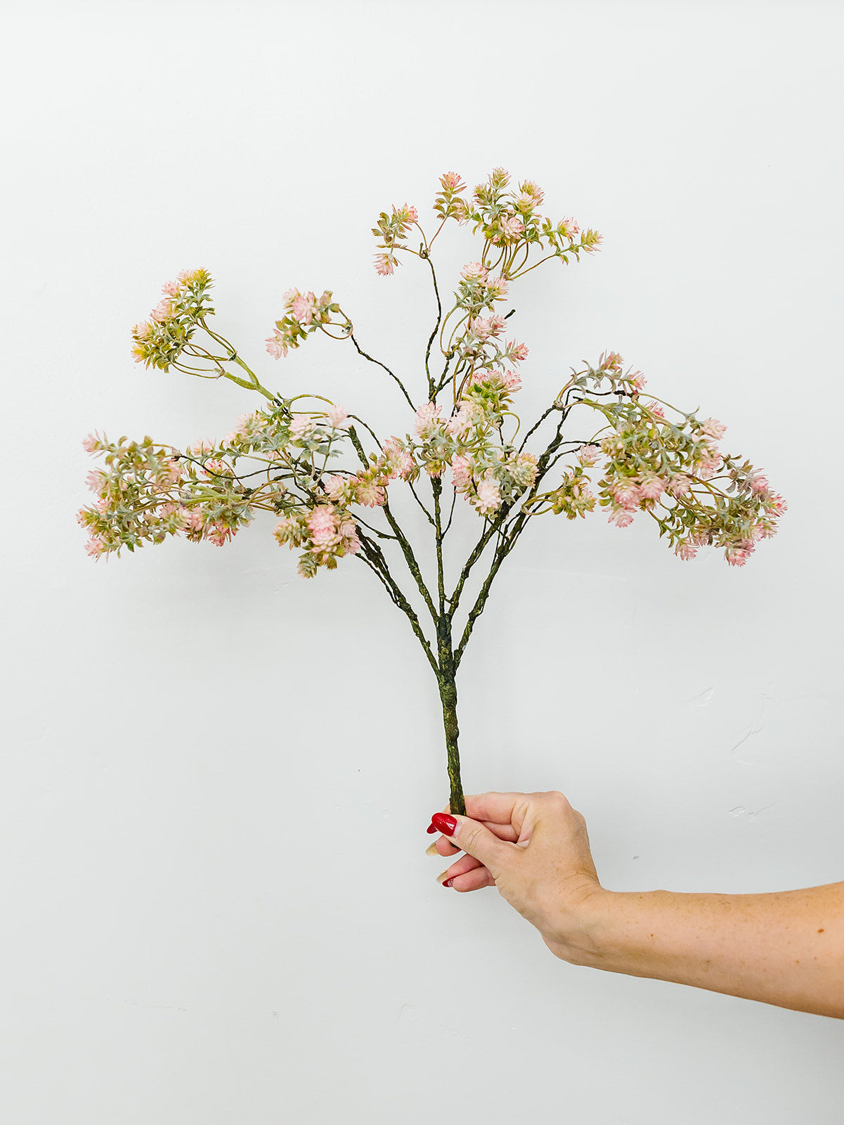 Sedum Bush - 18" – Sarah Grover Home